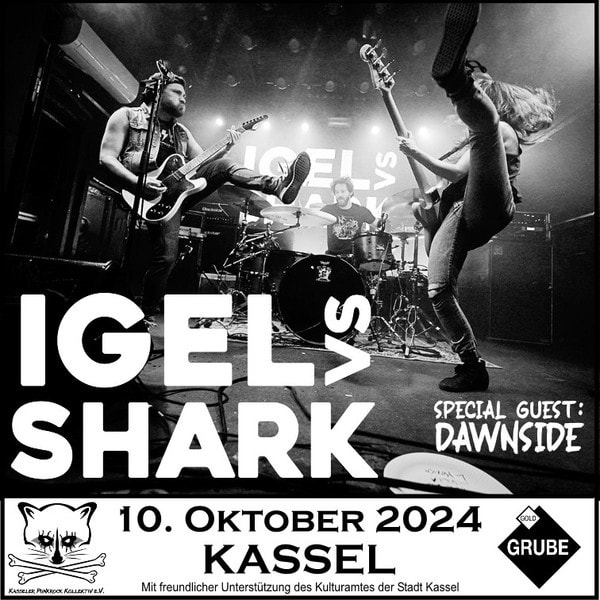 IGEL VS SHARK + DAWNSIDE